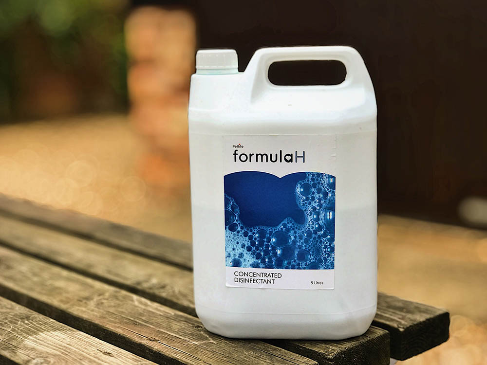 Keeping your kennels free of disease and infection – workinglabradors.co.uk